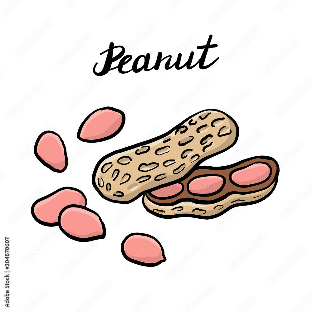 vector drawing peanuts Stock Vector | Adobe Stock