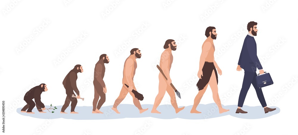 Стоковое векторное изображение «Human evolution stages. Evolutionary ...