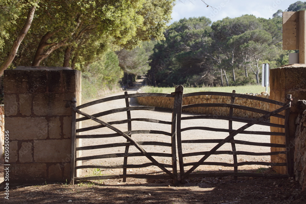 Pairies fleuries et murets en pierre à Minorque, île paradisiaque des ...
