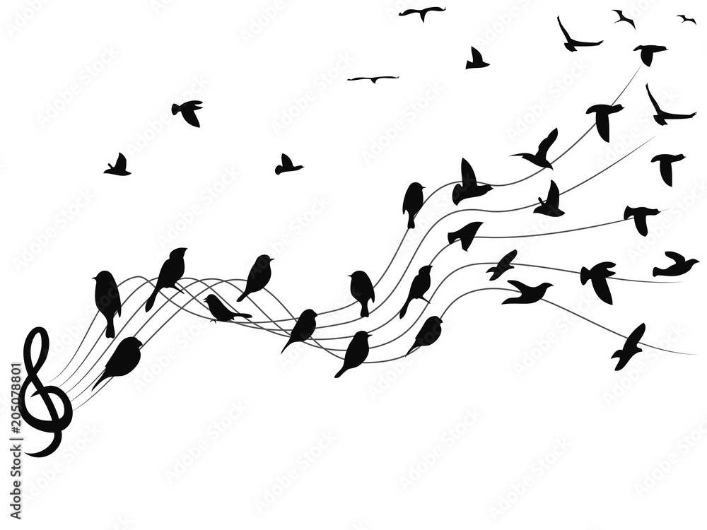 birds musical notes background Stock Vector | Adobe Stock
