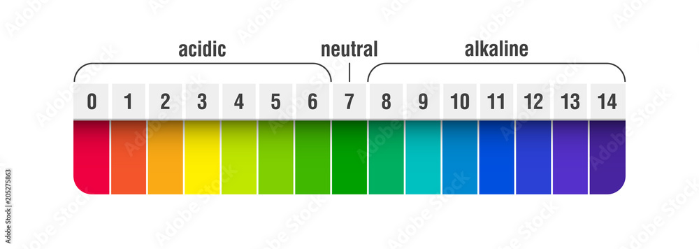 pH value scale chart for acid and alkaline solutions, acid-base balance infographic Stock Vector ...