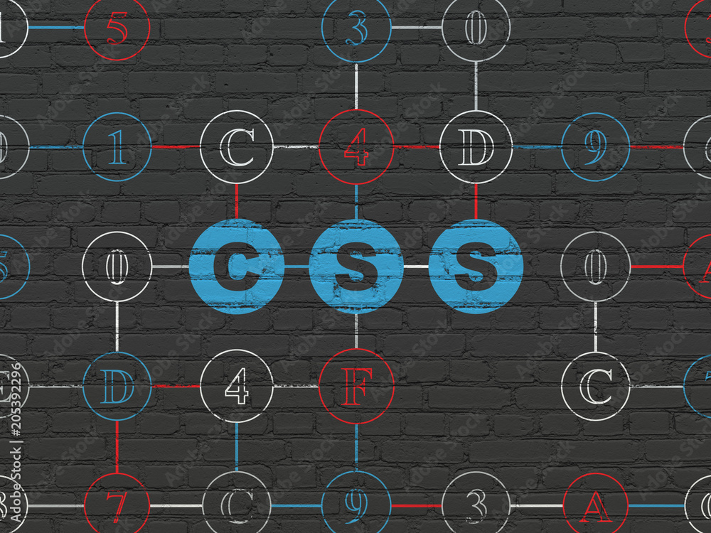 Database concept: Painted blue text Css on Black Brick wall background with Hexadecimal Code ...