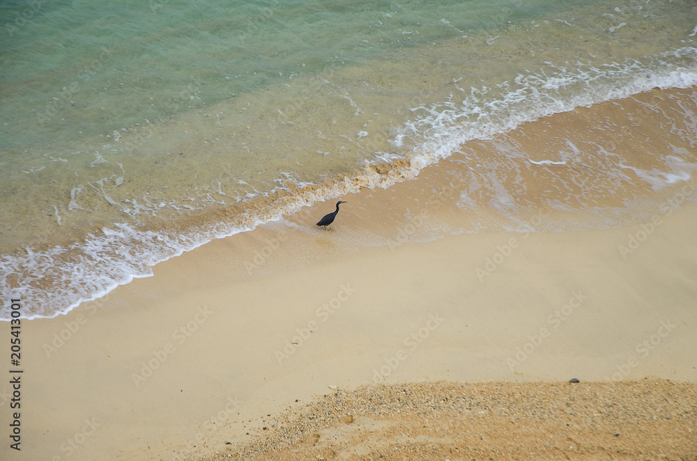 Kouki beach in Nago on Okinawa island in Japan. Beautiful turquoise ...