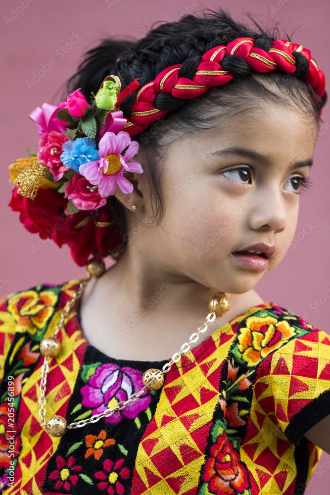 Girl wearing a traditional dress from Istmo de Tehuantepec. Stock Photo ...