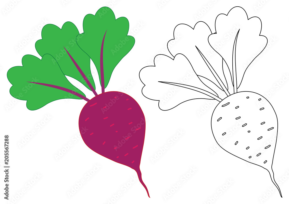 Beet cartoon. Coloring page. Game for children. Stock Vector | Adobe Stock