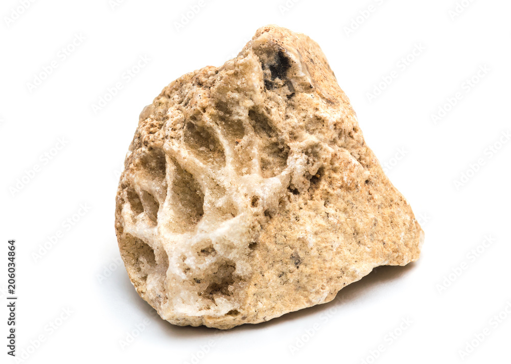 Sample of limestone isolated on white background Stock Photo | Adobe Stock