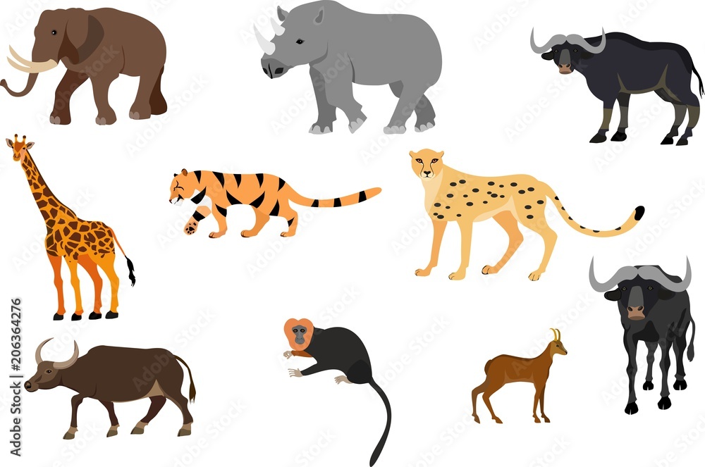 African wild animals isolated on white vector set, elephant, giraffe ...