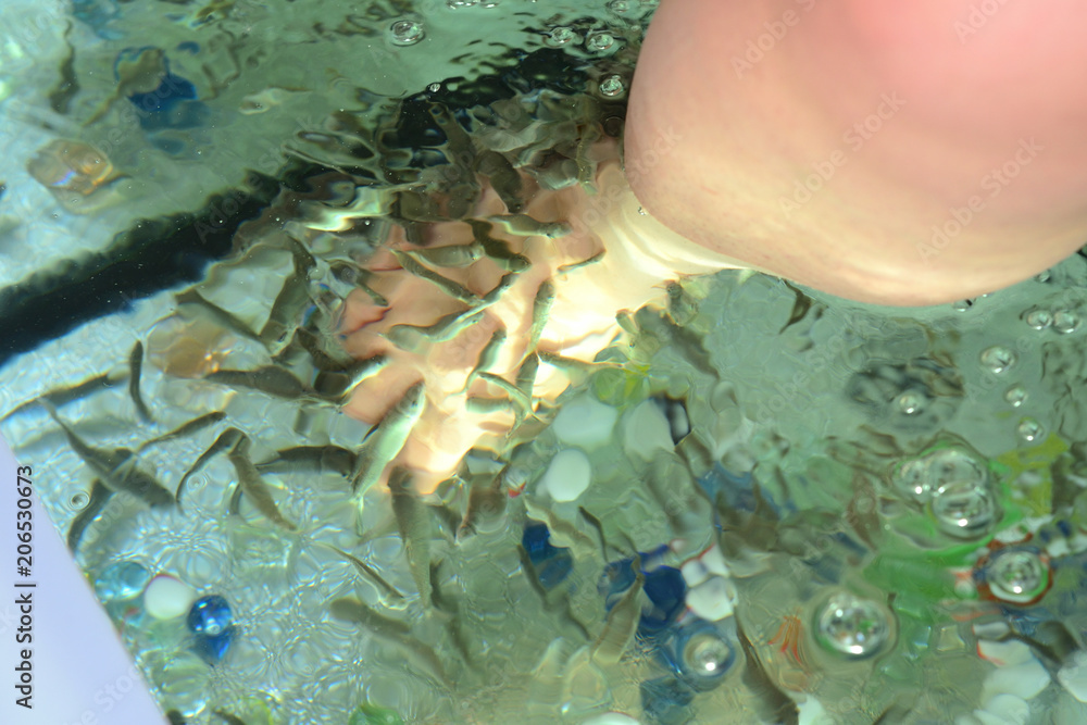 Simple still-life photo of pilling procedure for legs in big aquarium ...