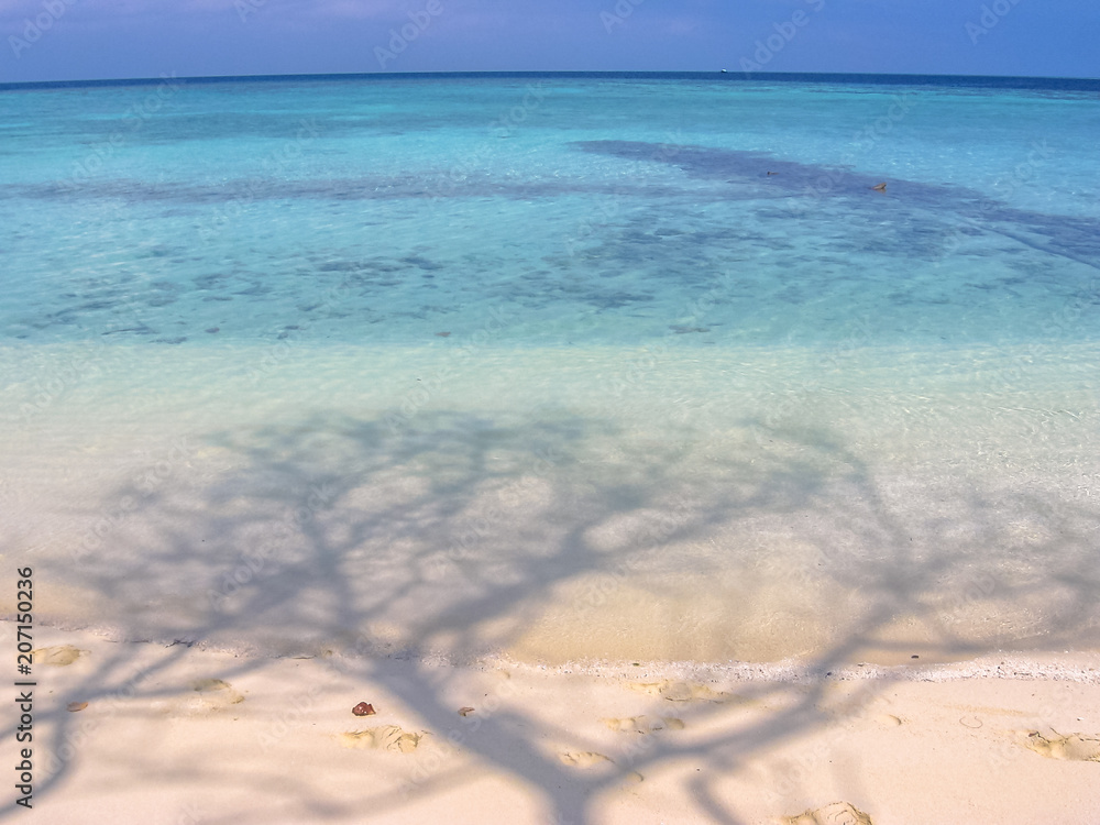 Maldives background, Atoll, Indian Ocean. Palm shadows on the white ...