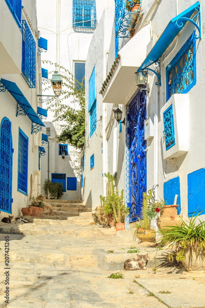 White-blue city of Sidi Bou Said, Tunisia. Stock Photo | Adobe Stock