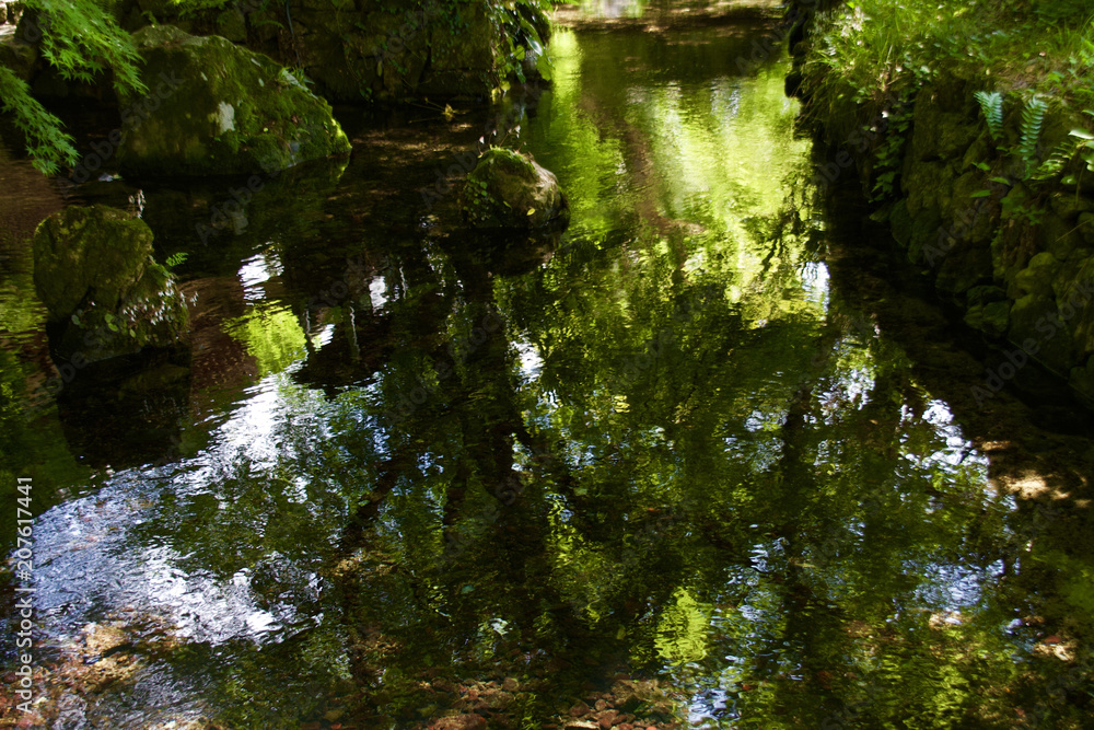 Algae shining beautiful spring water river in Samegai-juku Japan Shiga ...