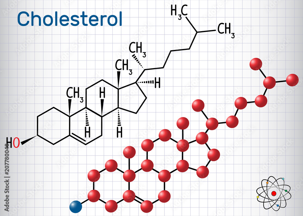 Cholesterol molecule. Structural chemical formula and molecule model ...