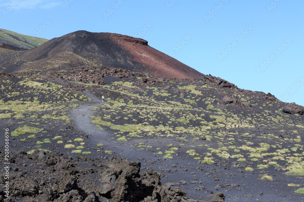 On slopes of Etna volcano in Sicily, a volcanic landscape at an ...