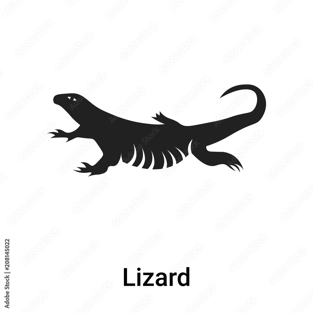 Lizard icon vector sign and symbol isolated on white background, Lizard ...