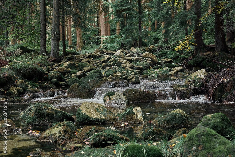Brook or creek in nature pine Scandinavian mountain forest in evening ...
