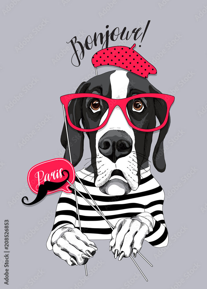 Great Dane Dog in a striped T-shirt and with a red glasses, beret ...