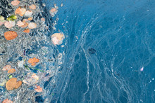 Muddy Sea Water Free Stock Photo - Public Domain Pictures