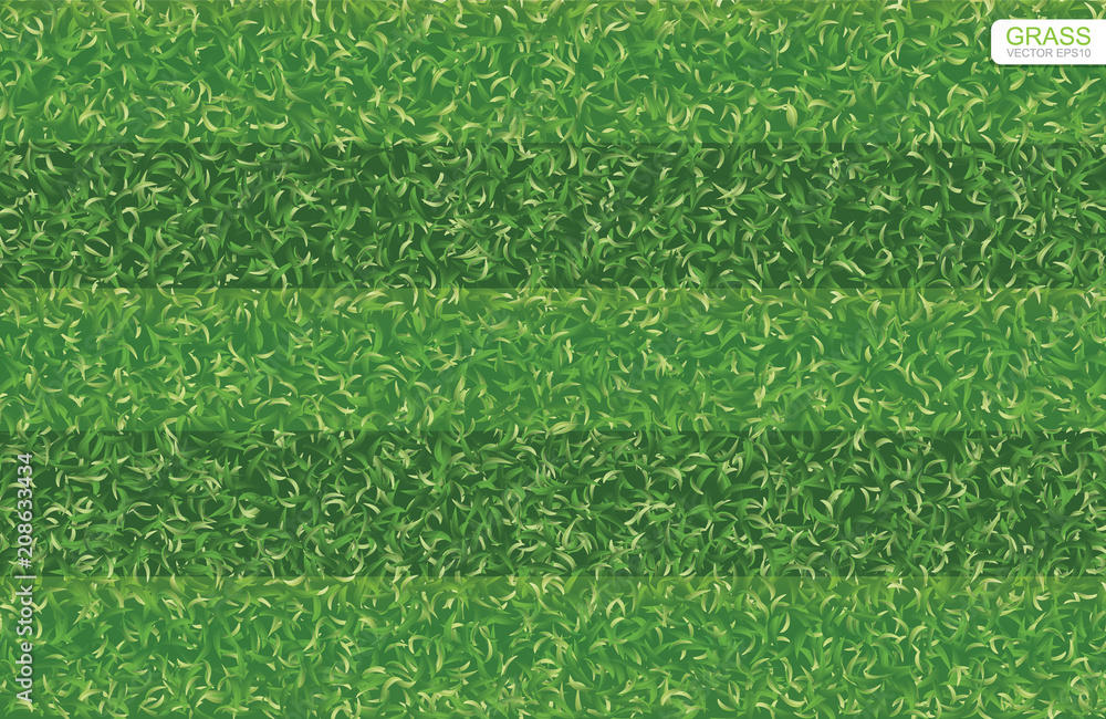 Green grass pattern and texture for soccer field, football field, rugby ...