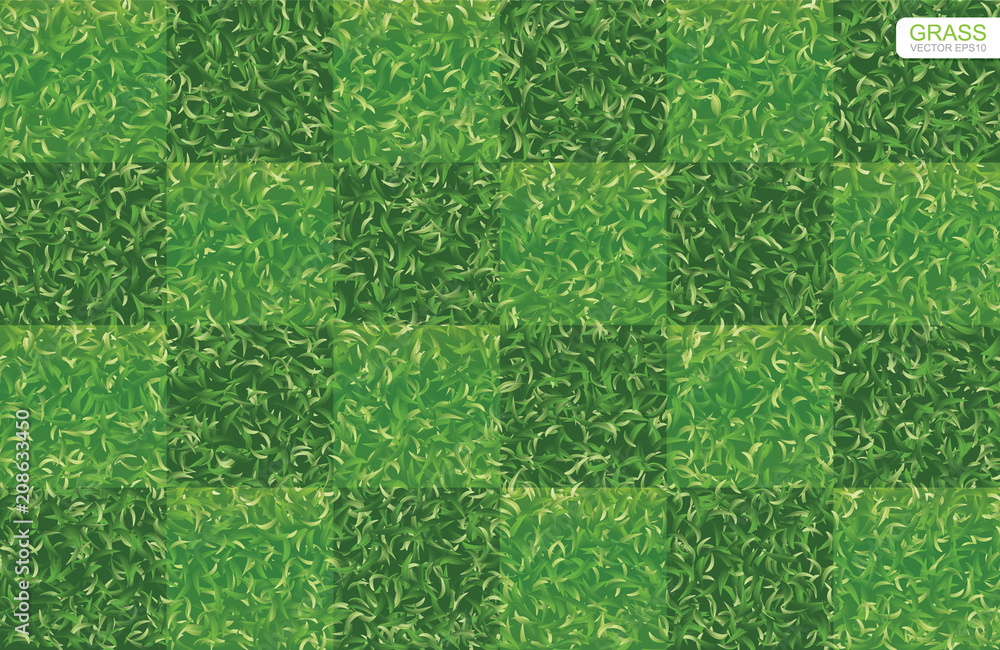 Green grass pattern and texture for soccer field, football field, rugby ...