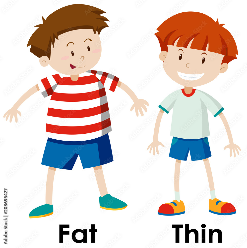 Differences between fat and thing Stock Vector | Adobe Stock