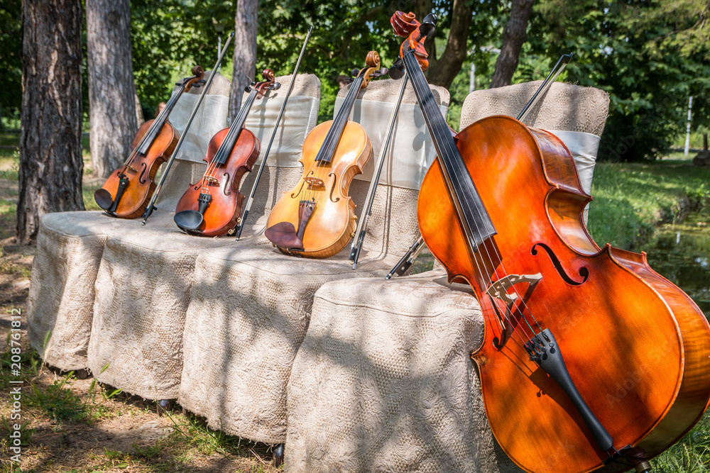 Music and nature concept. String instruments, one cello and three ...