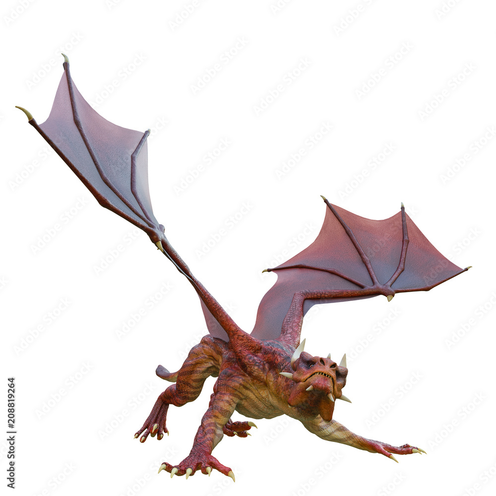red dragon in a white background Stock Illustration | Adobe Stock