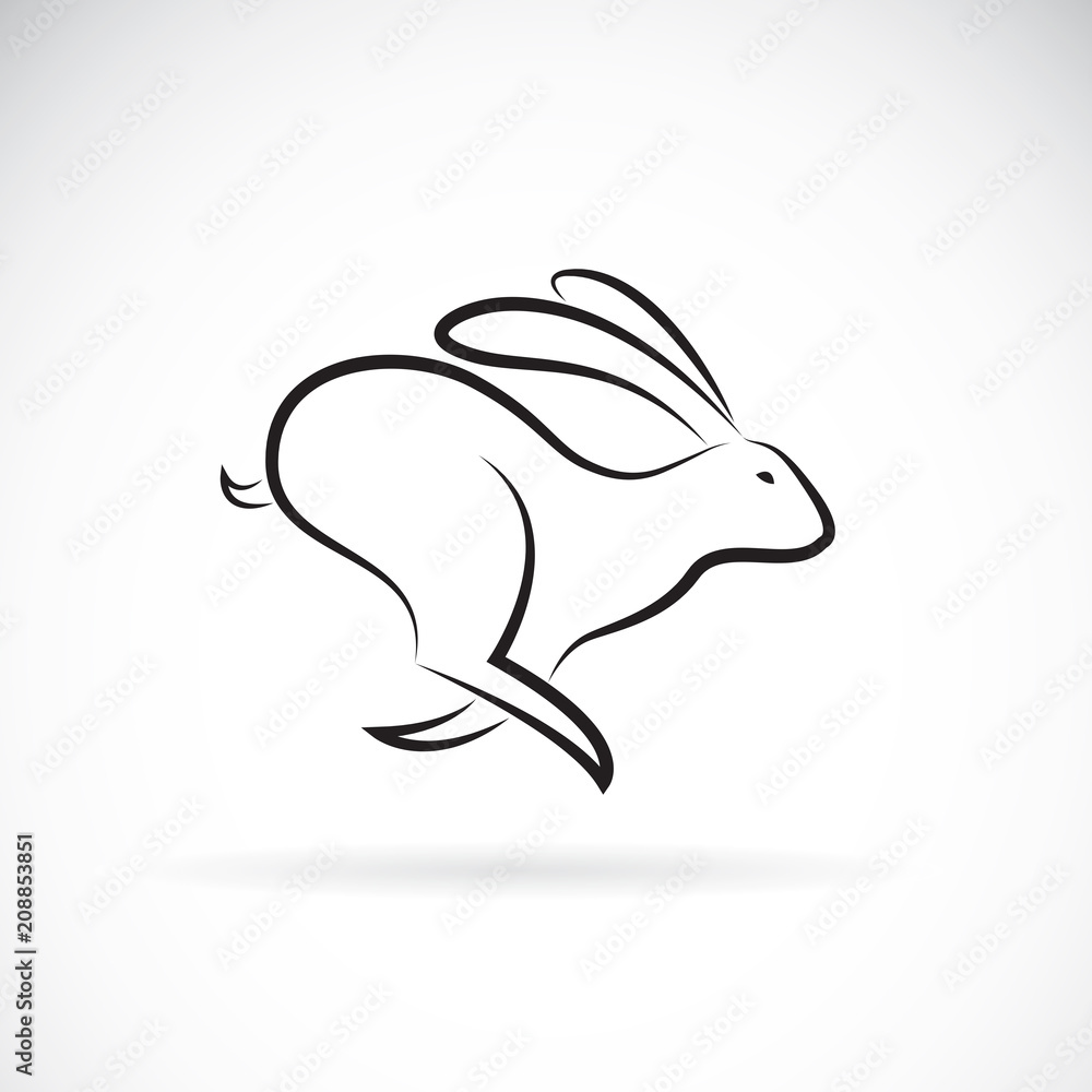 Vector of rabbit is running on white background. Wild Animals. Black ...