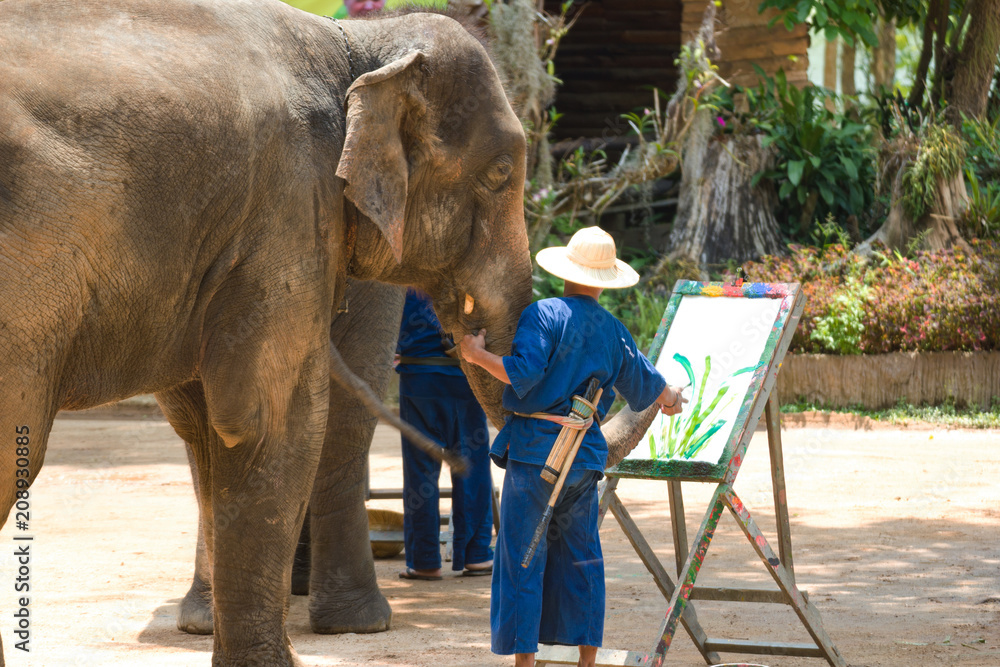 LAMPANG THAILAND - Elephant painting in picture tree frame at The Thai ...
