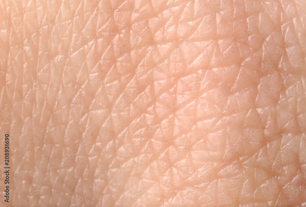 Texture of human skin, closeup Stock Photo | Adobe Stock