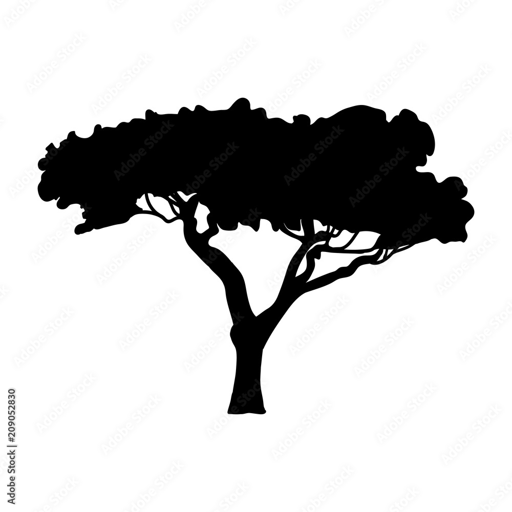 Silhouette Acacia icon tree flora Stock Vector | Adobe Stock