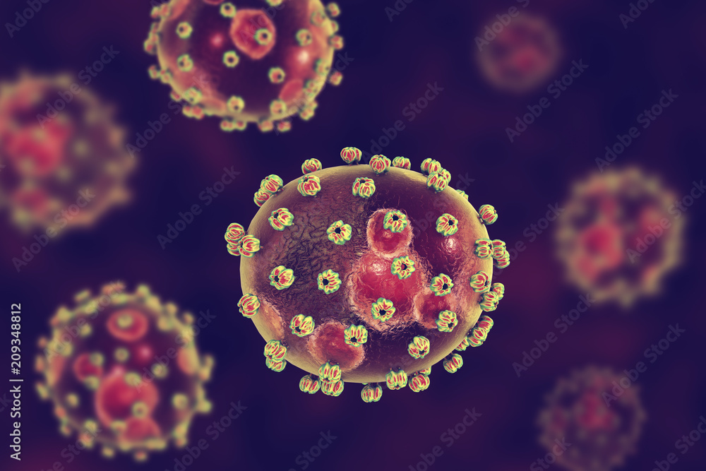 Lassa fever viruses, 3D illustration. RNA-viruses from Arenaviridae ...