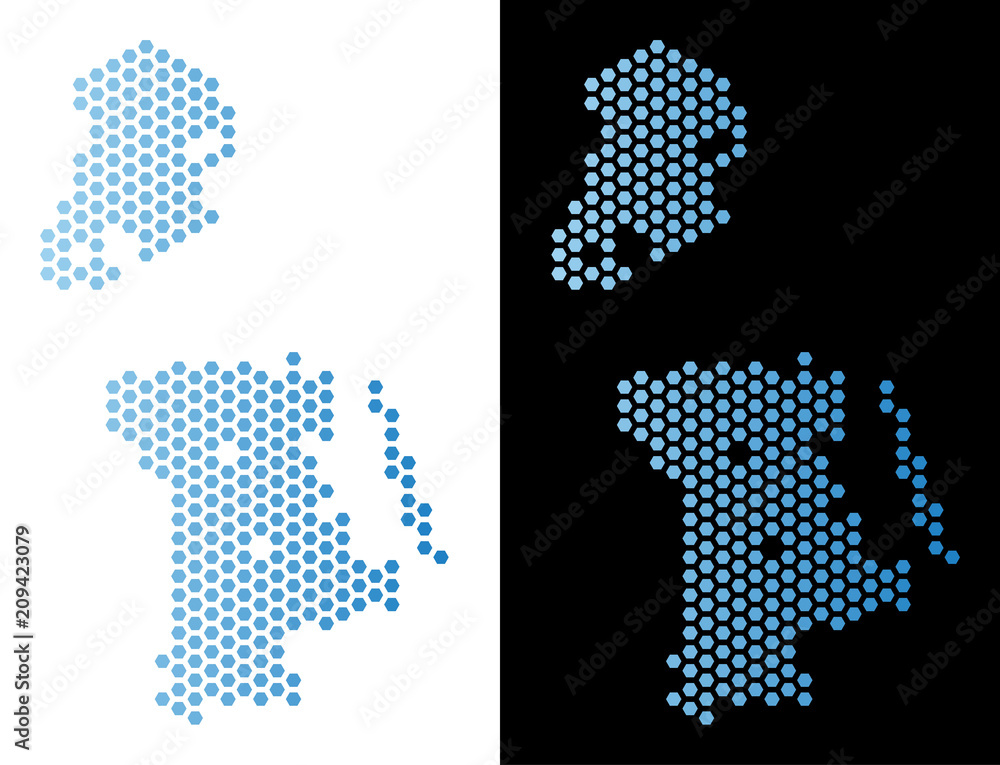 Hex Tile Chinese Macau map. Vector territory plan in light blue color ...