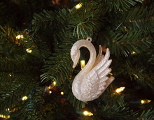Swan And Christmas Tree Free Stock Photo - Public Domain Pictures