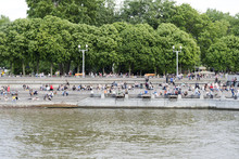 Crowded Harbor Free Stock Photo - Public Domain Pictures
