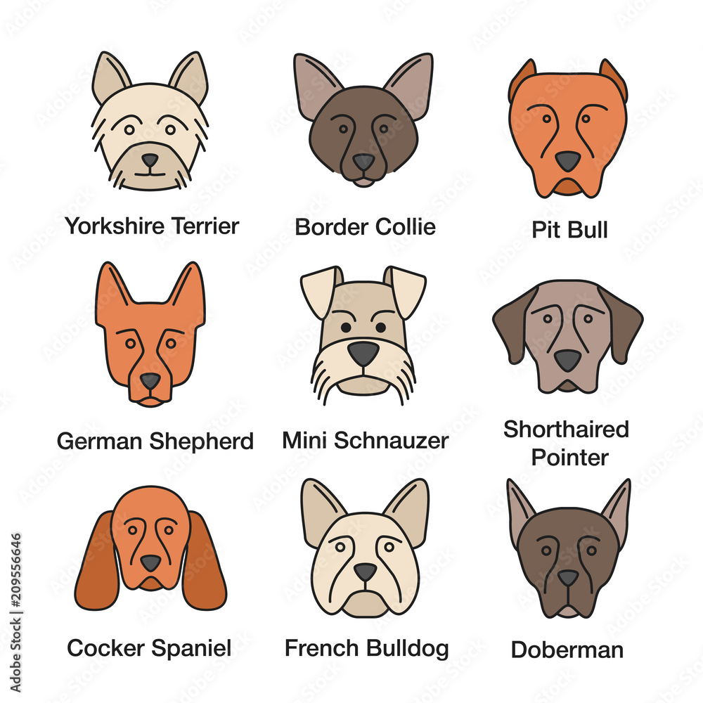 Dogs breeds color icons set Stock Vector | Adobe Stock