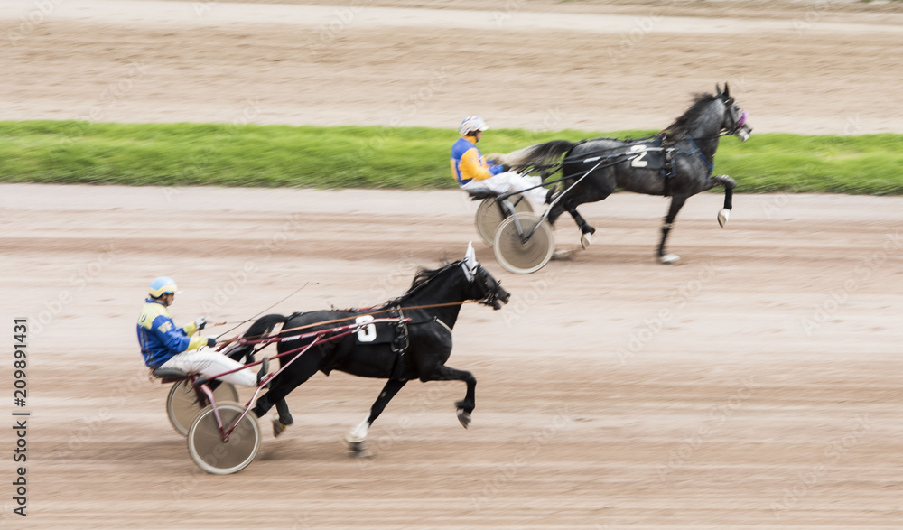 horse racing, horse racing, horses, jockey, horseman, Hippodrome,bets ...