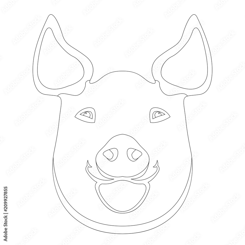 pig head coloring vector illustration line drawing front Stock Vector ...