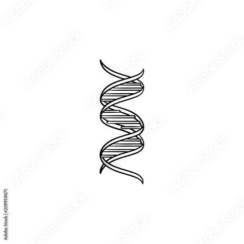 DNA genetic chain hand drawn outline doodle icon. DNA molecule code ...