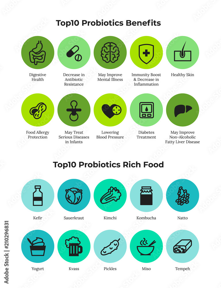 Probiotics health benefits vector infographic. Flat stroke illustration ...
