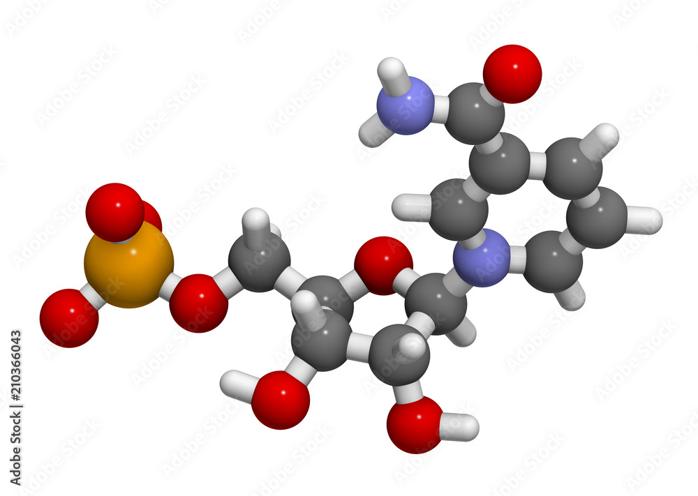 Nicotinamide mononucleotide molecule. Precursor of NAD+. 3D rendering ...