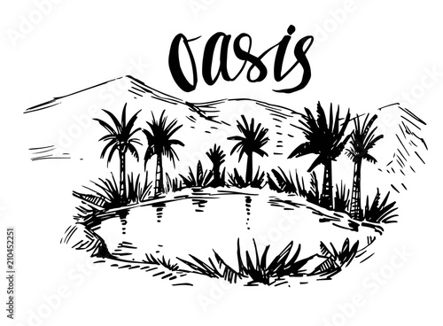 Sketch of oasis in the desert. Hand drawn illustration converted to ...