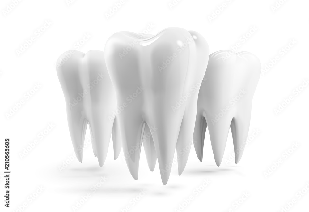 Realistic vector human tooth icon. Design template. Tooth isolated icon ...