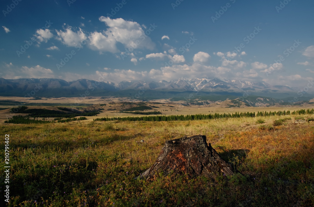 Dry desert steppe on a highland mountain plateau with yellow grass ...