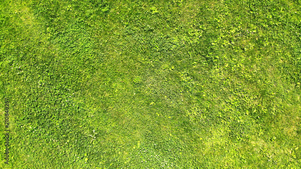 Aerial. Green grass texture background. Top view. Stock Photo | Adobe Stock