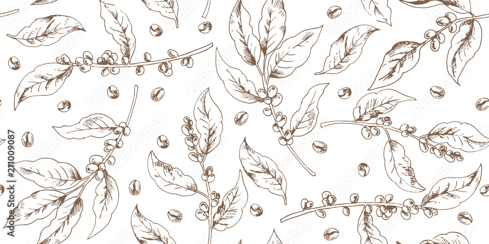 Botanical seamless pattern with coffee branches and beans Stock Vector ...