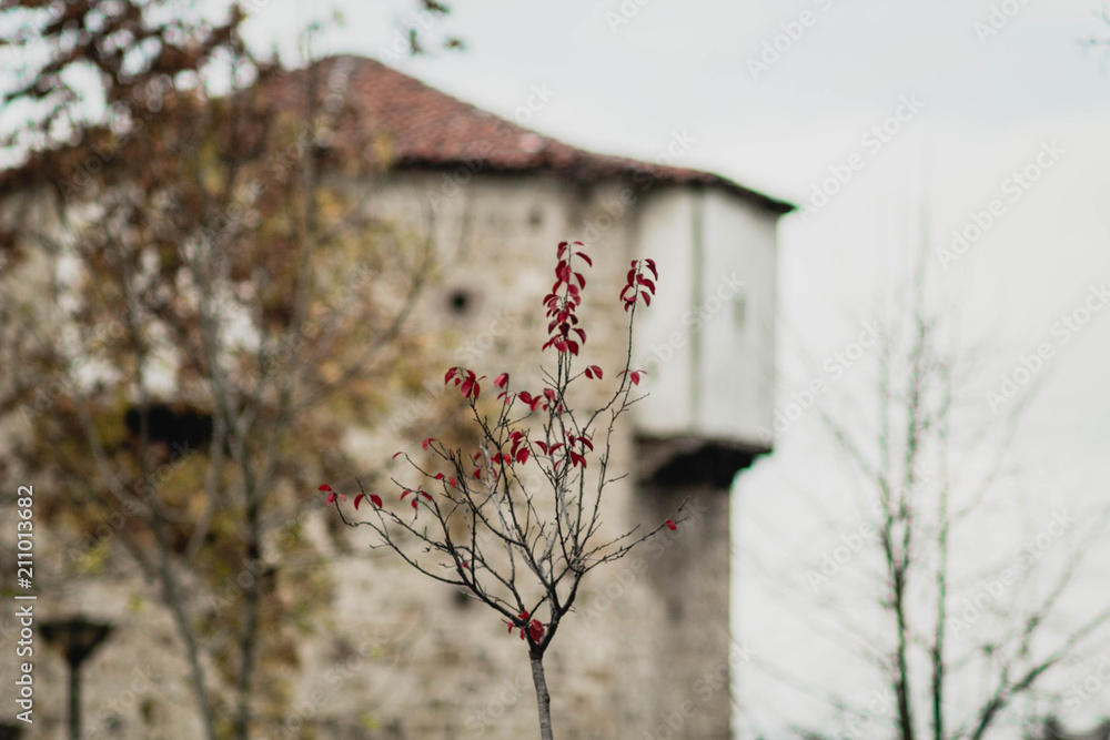 Kula motrilja, Novi Pazar Stock Photo | Adobe Stock