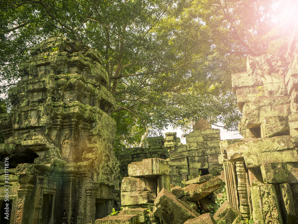 Giant tree roots covering Ta Prom temple, Siem Reap, Cambodia, landmark ...
