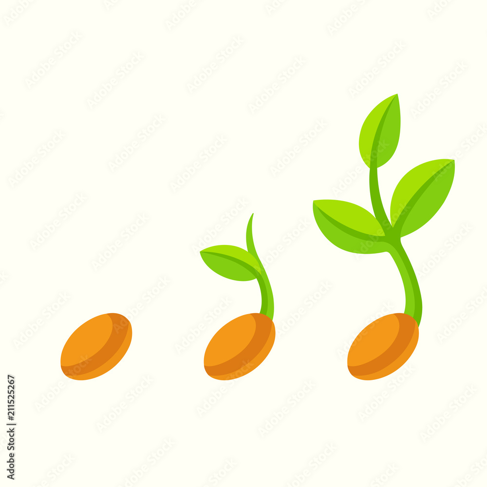 Sprouting seed illustration Stock Vector | Adobe Stock