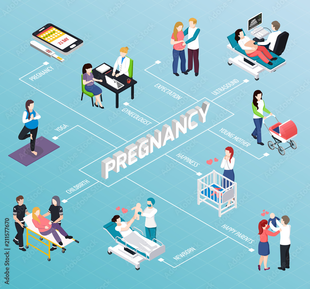 Pregnancy Isometric Flowchart Stock Vector | Adobe Stock