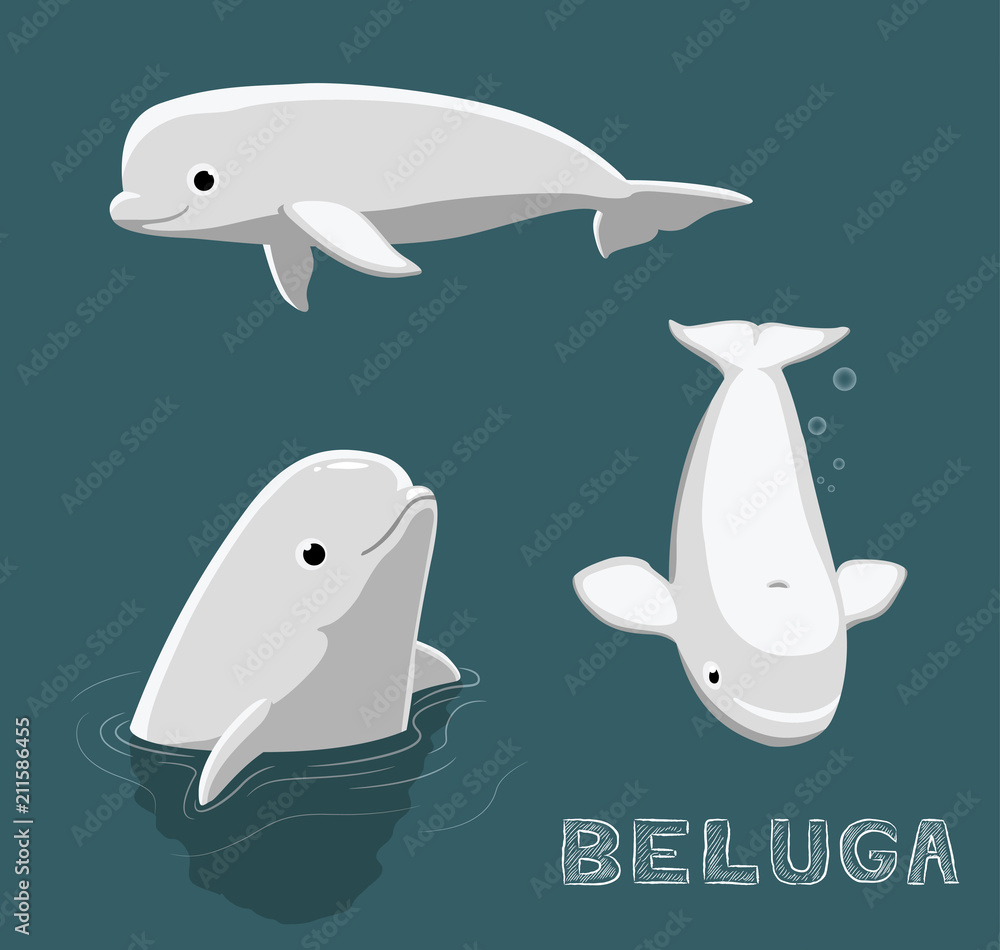 Beluga Cartoon Vector Illustration Stock Vector | Adobe Stock